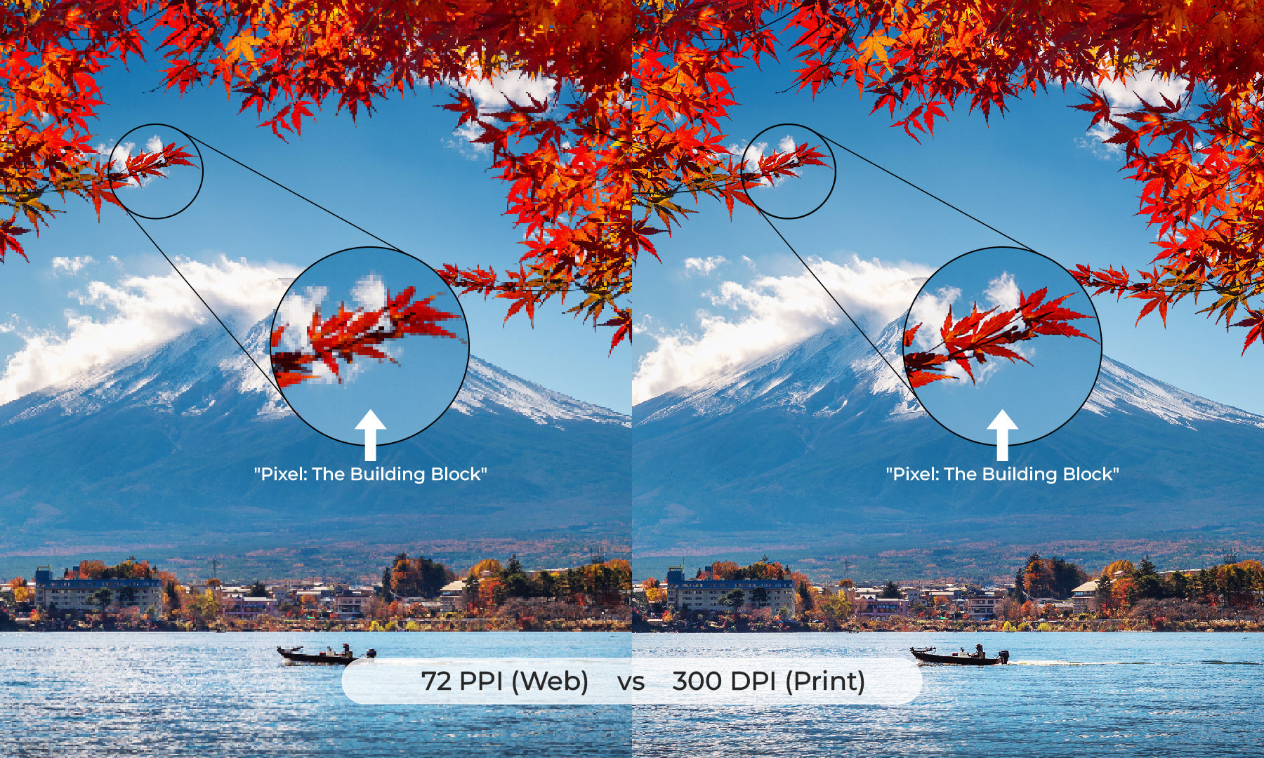 Understanding Resolution: Why It Matters for Photography & Backdrop De